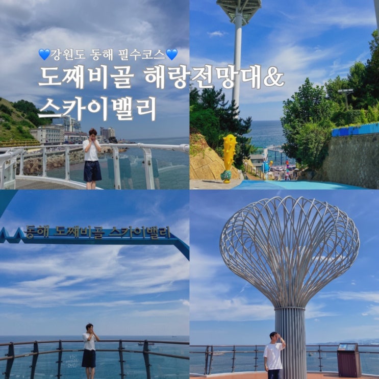 동해 뚜벅이 여행 도째비골스카이밸리 미끄럼틀 입장료 해랑전망대 네이버 블로그