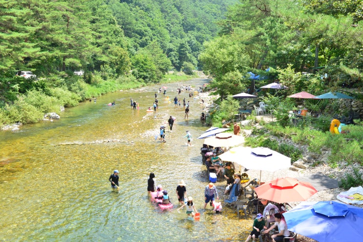 강원도 계곡 접근성 좋은 평창 흥정계곡 주차장 캠핑사이트요금 네이버 블로그