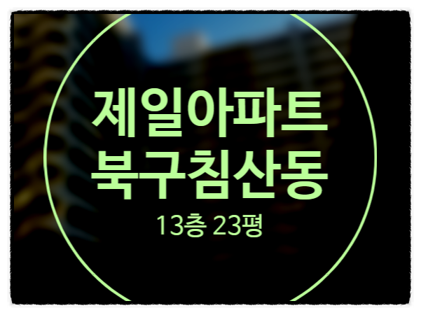 침산제일아파트경매 대구시 북구 침산동 제일아파트 13층 23평 남향 네이버 블로그