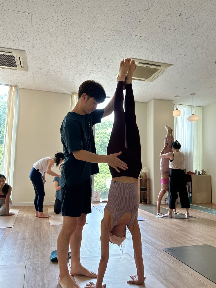 자곡동 씨티요가에서 오픈클래스 강남푸르지오시티 수서역요가 하타요가 네이버 블로그