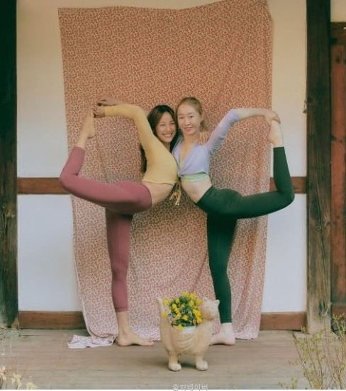 요가 다이어트 효과 종류 별 특징 하타요가 빈야사요가 아쉬탕가요가 비크람 핫요가 힐링요가 인요가 홈요가 네이버 블로그