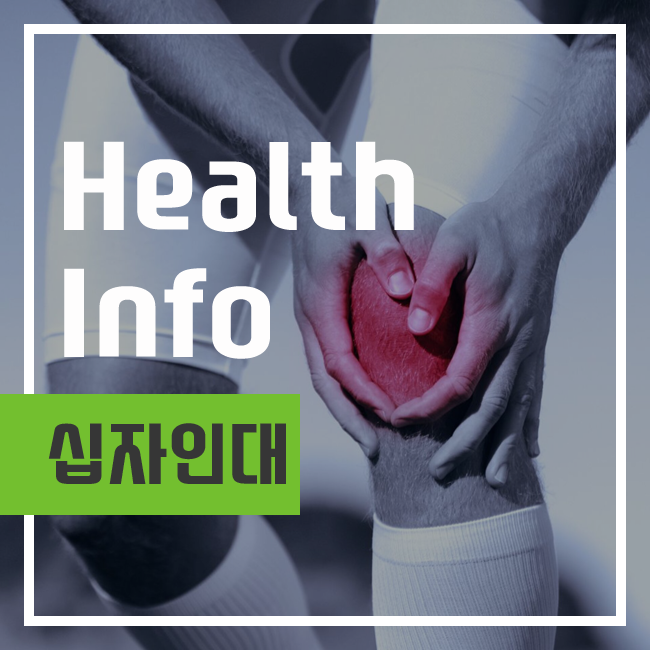 전방 십자인대 파열 증상 수술 후 손상 통증 재활 방법 네이버 블로그