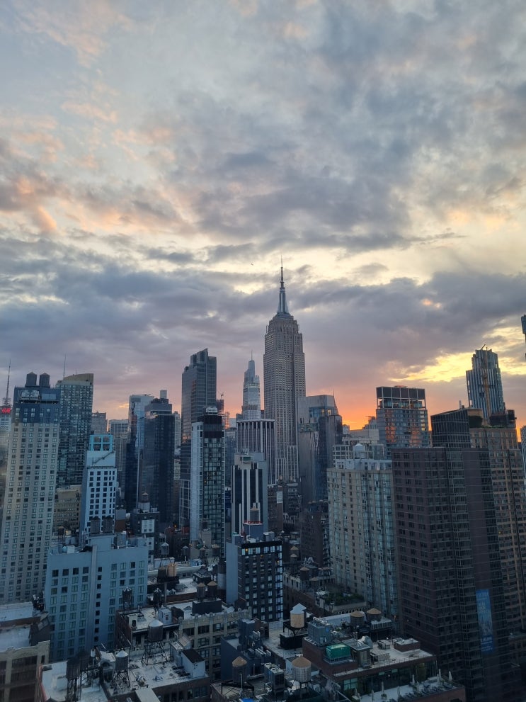 [뉴욕 여행] 뉴욕&워싱턴 호텔 숙소 후기/tba 타임스퀘어/hyatt place 첼시/ 워싱턴 yotel : 네이버 블로그