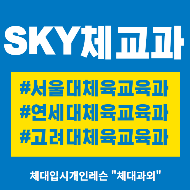 서울대 연세대 고려대 체육교육과 정시 스카이체대 네이버 블로그