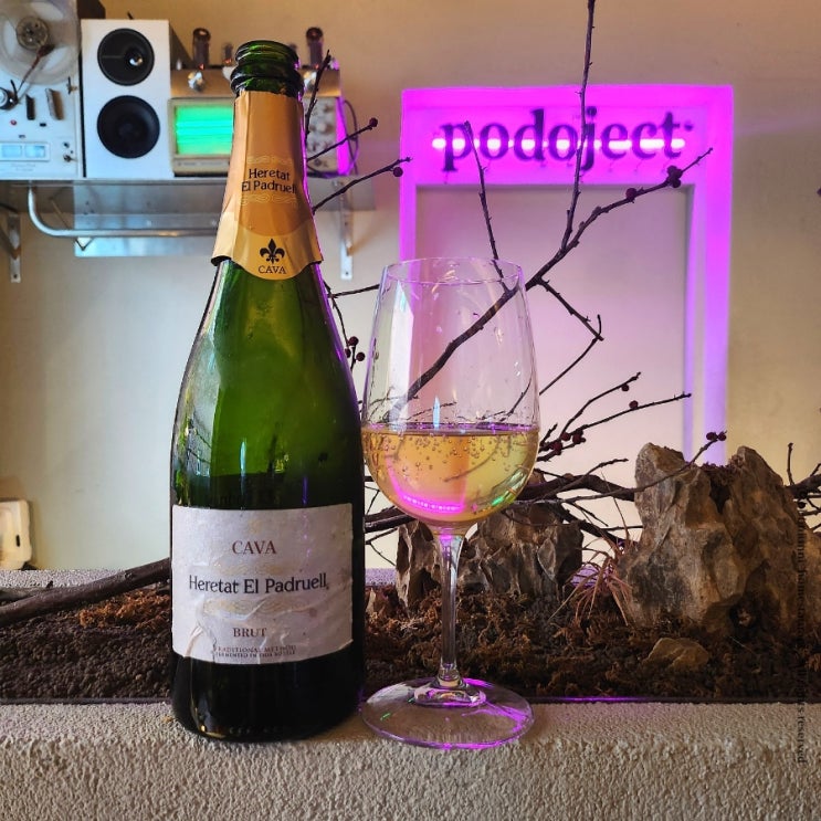 성수동 핫플 성수 와인바 포도젝트 첫 생일파티에서 맛있는 와인 추천 : 네이버 블로그