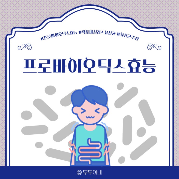 프로바이오틱스효능 락토바실러스 유산균 종류 및 추천 네이버 블로그