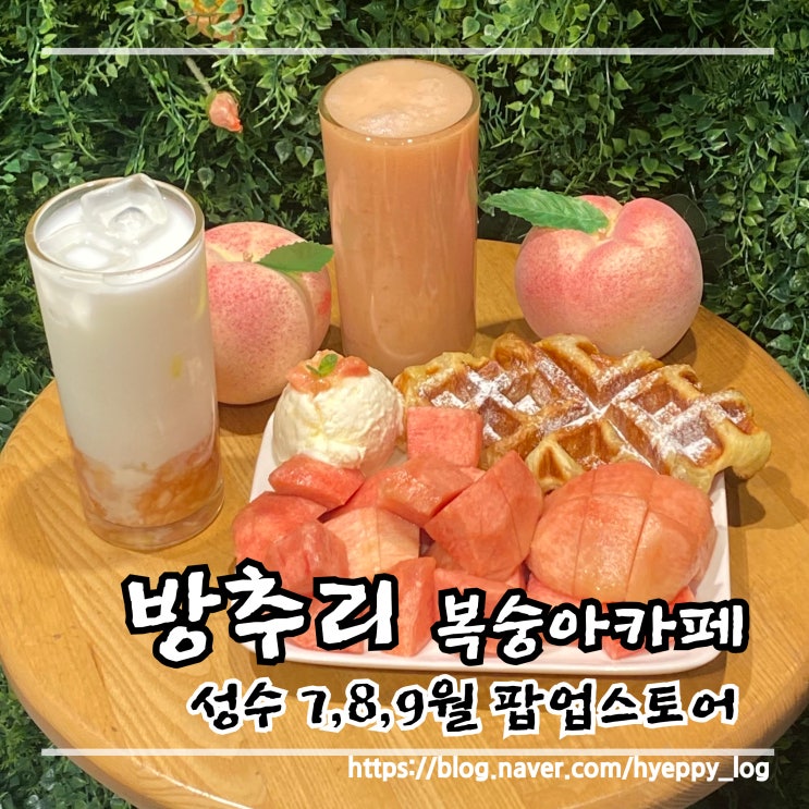 성수 팝업스토어 8월 복숭아 카페ㅣ방추리ㅣ 성수동 가볼만한곳 뚝섬 서울숲 데이트 복숭아맛집 네이버 블로그