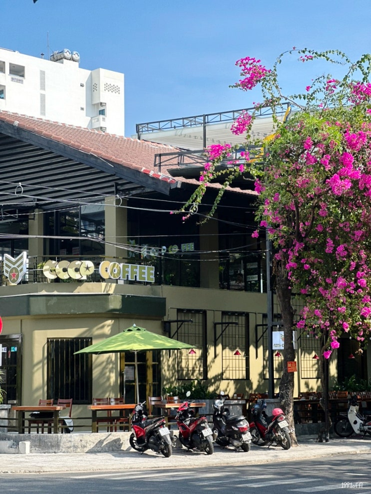 [나트랑 태교여행] cccp커피와 콩카페 : 네이버 블로그