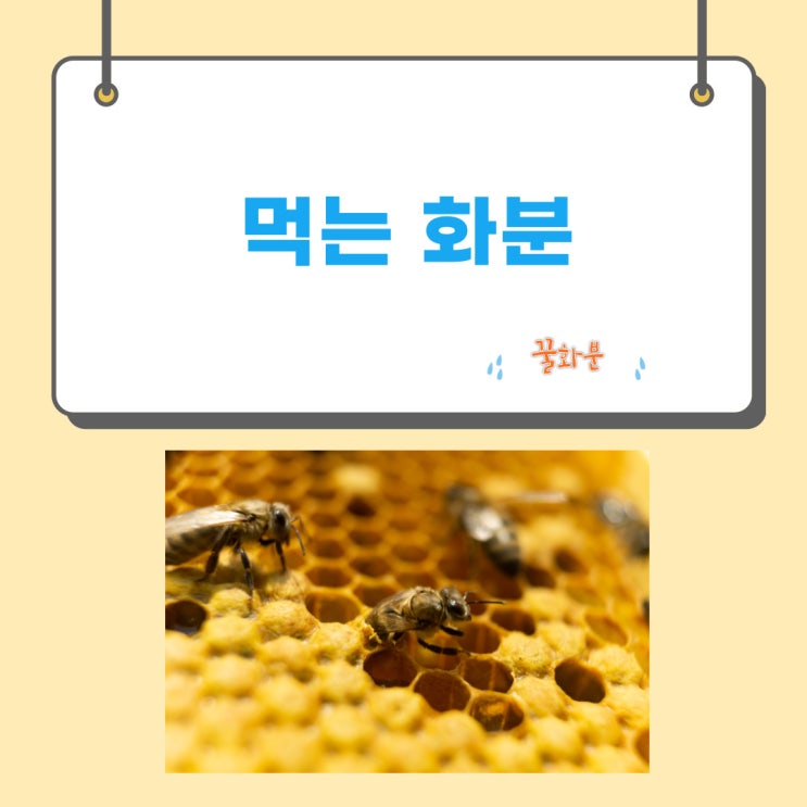 먹는 화분 가루 효능 꿀 화분 비폴렌 부작용 네이버 블로그