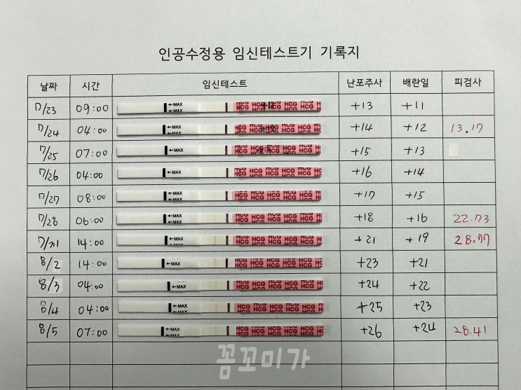 임신준비 인공수정 1차 낮은 피검사 수치 진해지지 않는 임테기 더딘 임테기 변화 병원 방문 Hcg 피검사 임테기