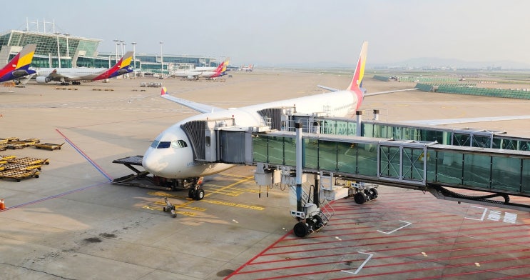 [필리핀] 인천-마닐라 아시아나 (OZ701, OZ704) 기내식 + 인천공항 푸드코트 : 네이버 블로그