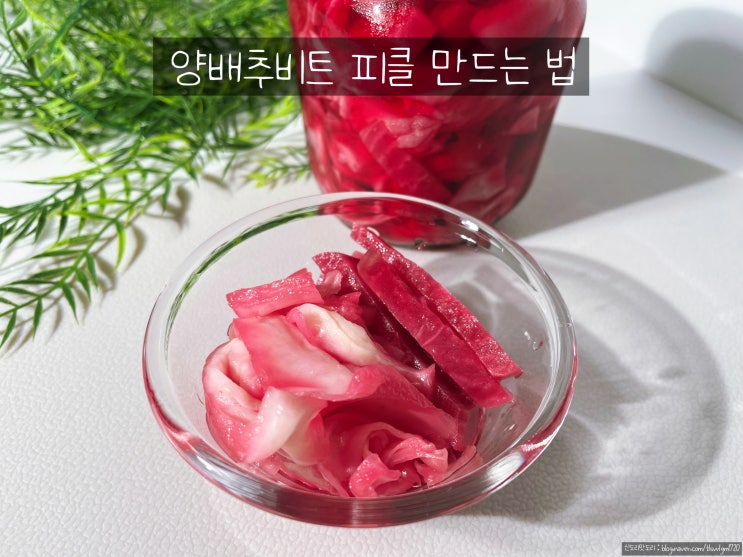 양배추피클 만드는 법 피클링 스파이스 비트 피클 소스 비율 양배추 장아찌 만들기 네이버 블로그