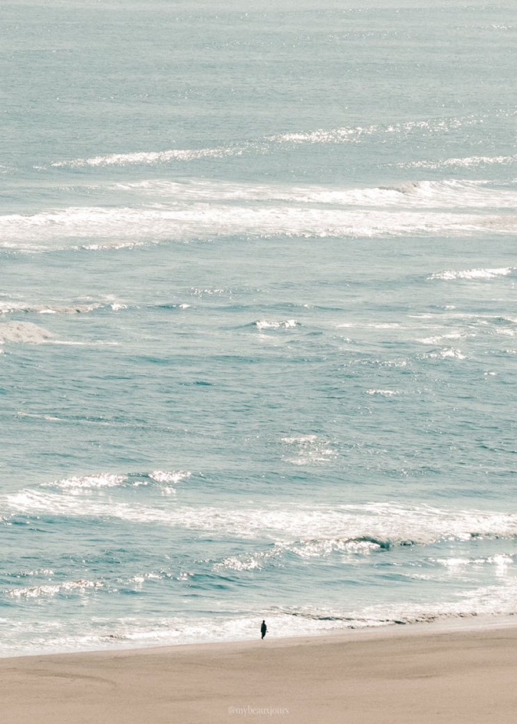 도파민네이션 : 네이버 블로그