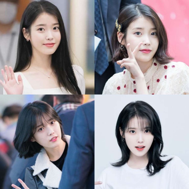아이유단발 C컬펌, 허쉬컷 잘어울리는 얼굴형 : 네이버 블로그
