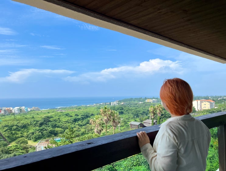 [23.07.24~27🏝🥕] 여름 제주도 - 3박4일 뚜벅이 여행 3편(김창열미술관, 탄산온천) : 네이버 블로그