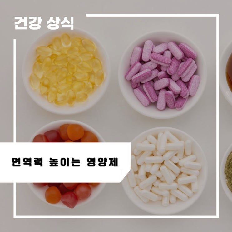 면역력 높이는 영양제 5종 추천 면역력에 좋은 영양제 알아보기 네이버 블로그