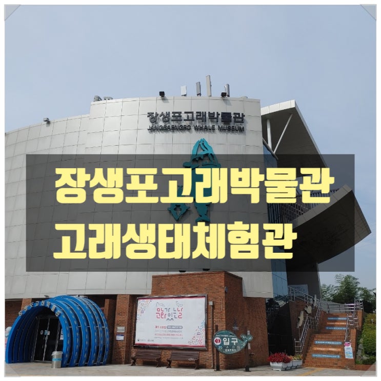 울산 장생포고래문화특구 해피관광카드로 초등학교 아이들과 울산 여행 알차게 했어요 장생포고래박물관 고래생태체험관 후기