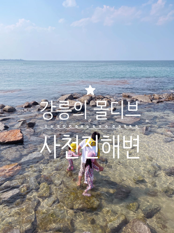 강릉 사천진 해수욕장 강원도 스노쿨링 포인트 아이와 해수욕장바우 흑임자 커피강릉 라카이 샌드파인 근처 해변 네이버 블로그
