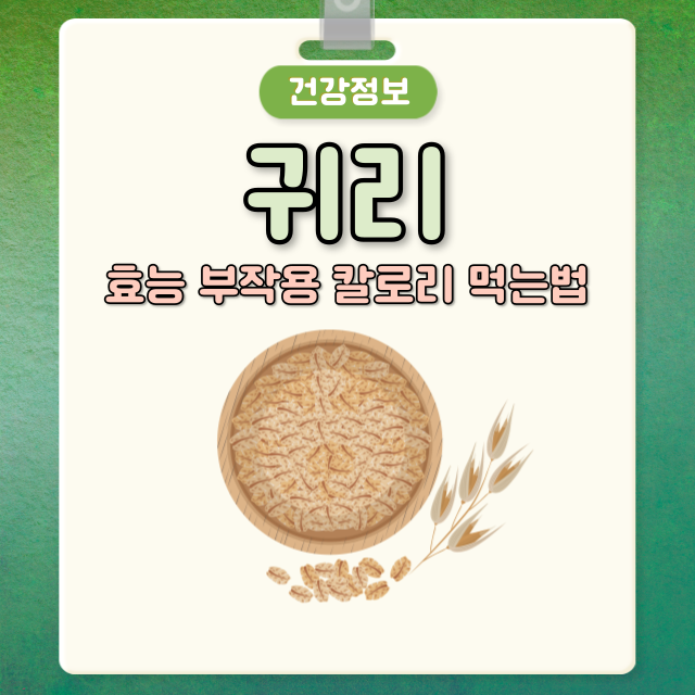 귀리 효능 부작용 귀리밥 먹는 법 귀리 분말 가루 다이어트 귀리 칼로리 네이버 블로그