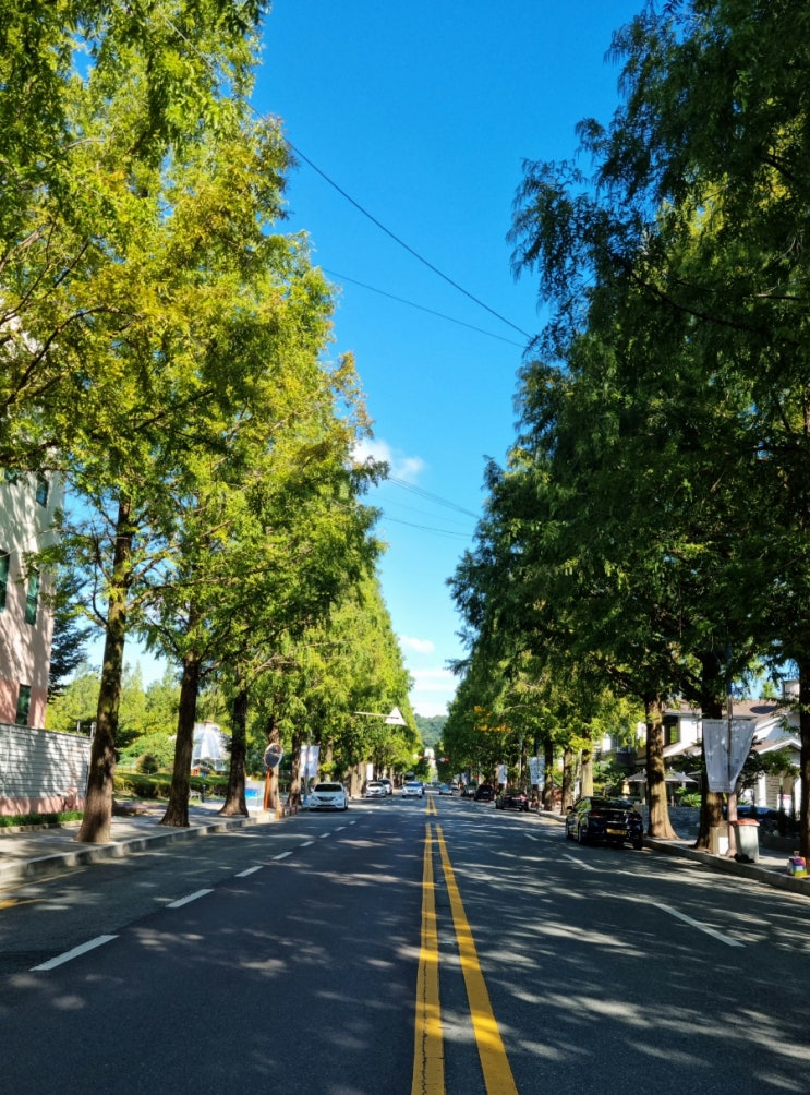 벌써 입추 : 네이버 블로그