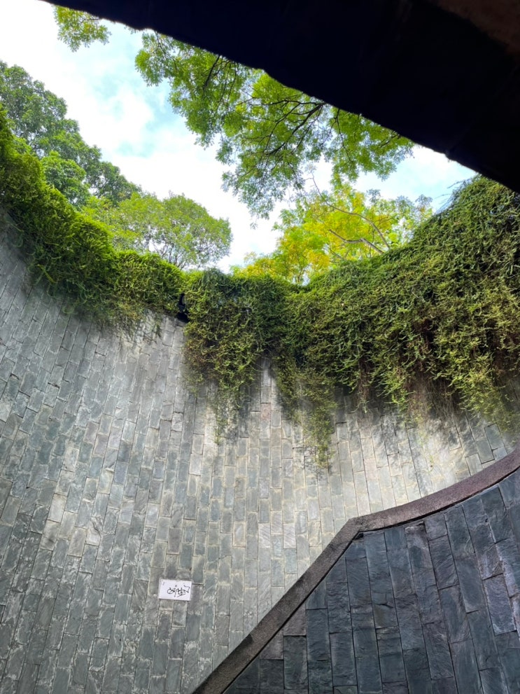 •싱가포르 포트 캐닝 트리 터널 Fort Canning Tree Tunnel • : 네이버 블로그