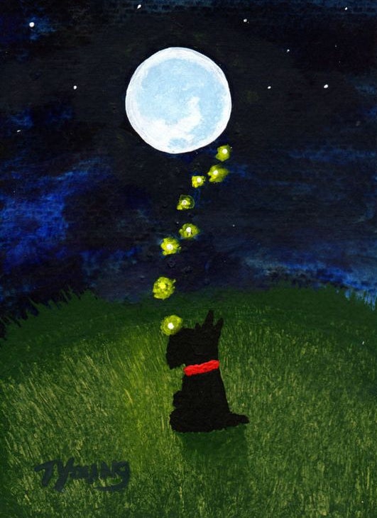 짧은 영시 (208-2) 레이첼 필드 / 반딧불을 쫓는 개를 보며 For a dog chasing fireflies : 네이버 블로그