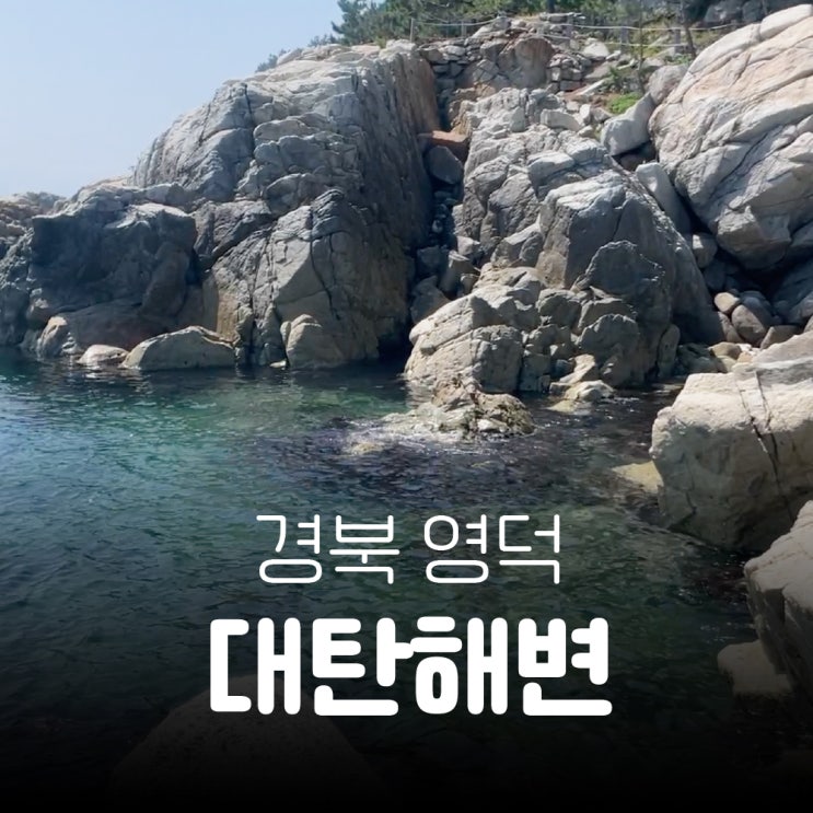 영덕 대탄해변 경북 물놀이 스노쿨링 해루질 차박캠핑 하기 좋은 곳 네이버 블로그