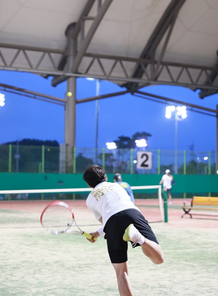 테니스 댐프너 종류와 성능 알아보고, 나에게 맞는 것 착용하자! : 네이버 블로그