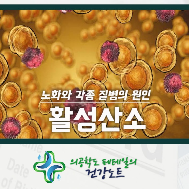 노화와 각종 질병의 원인 활성산소 항산화습관들이기 네이버 블로그