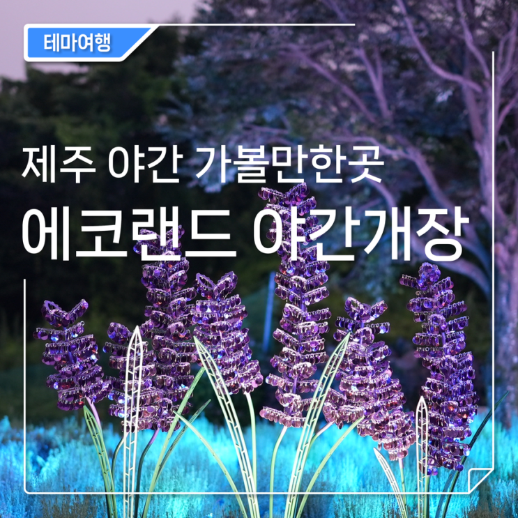 제주 야간 가볼만한곳 8월 제주 에코랜드 야간개장 제주 야간 명소 네이버 블로그