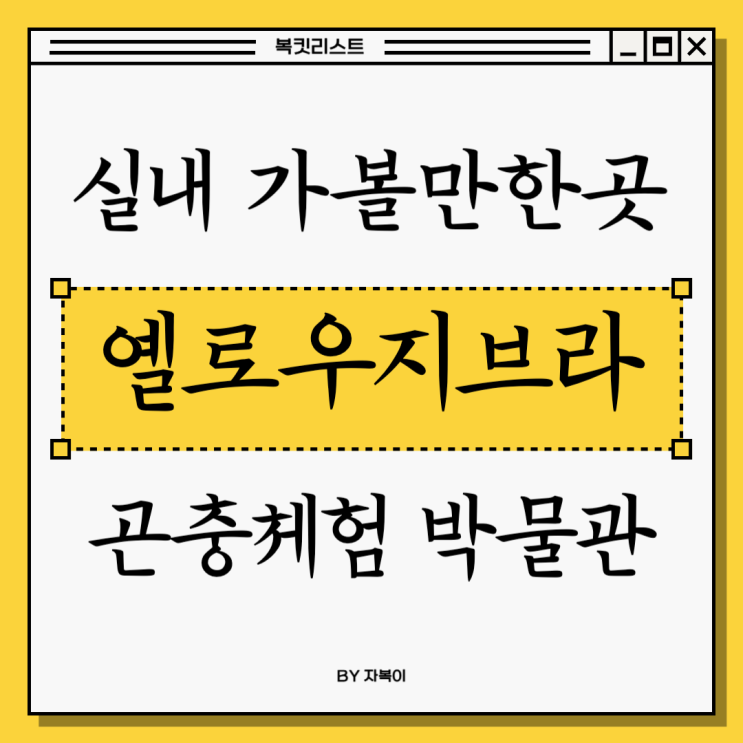 고양 일산 아기랑 실내 가볼만한곳 옐로우지브라 일산곤충박물관 체험 네이버 블로그