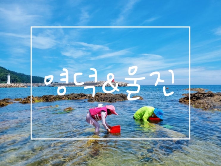 🐿영덕and울진여행 생선구이집카페제이경정해수욕장스노쿨링진해식당죽변점등대펜션폭풍속으로촬영지하트해변 네이버 블로그