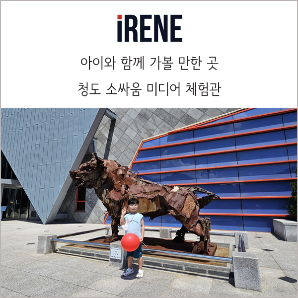 청도 소싸움 미디어 체험관 아이와 함께 가볼 만한 곳 네이버 블로그