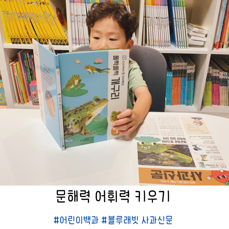 어린이백과 블루래빗 사과신문으로 문해력 어휘력 키우기 네이버 블로그
