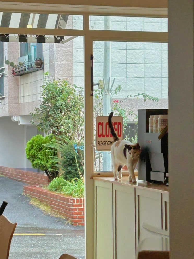 개강 준비 중 : 네이버 블로그