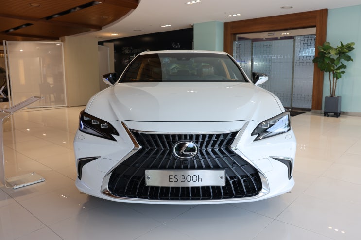 북미시장에서 제네시스G80 을 거뜬하게 이기고 있는 E세그먼트 수입차의 강자는 과연 ? 렉서스 ES300h 입니다 . : 네이버 블로그