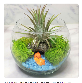 실패보고서 (1) : 네이버 블로그