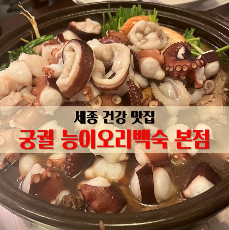 세종보람동 맛집 추천 궁궐 능이오리백숙 본점 복날 몸보신하기 좋은 건강 맛집 추천 네이버 블로그