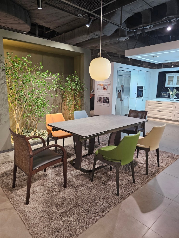 [Potocco Italy] 이탈리아 하이엔드 브랜드_그레이스, 벨리스, 피스타 : 네이버 블로그