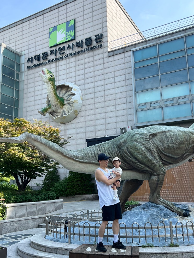 서울 아이들과 갈만한 곳 서대문자연사박물관의 모든 것주말방문 주차 방문꿀팁 등 네이버 블로그