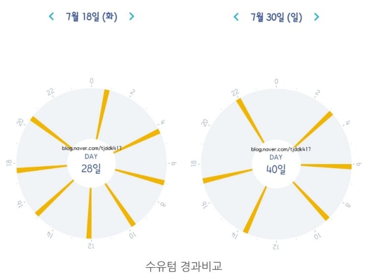 육아 25일~50일 쌍둥이 정부도우미 후기 수유텀 늘리기 쌍둥이 동시 수유 셀프 수유 쿠션 활용 B형간염 2차접종