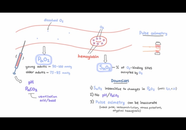 SaO2, SpO2, PaO2 차이, 산소해리곡선 : 네이버 블로그
