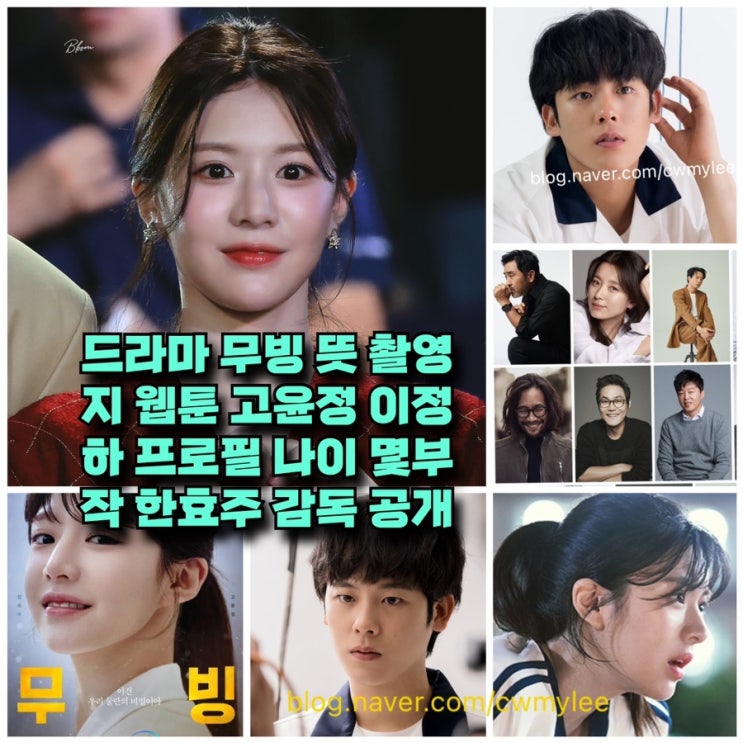 디즈니 드라마 무빙 뜻 줄거리 촬영지 웹툰 원작 결말 고윤정 이정하 프로필 나이 몇부작 등장인물 조인성 류승룡 한효주 차태현