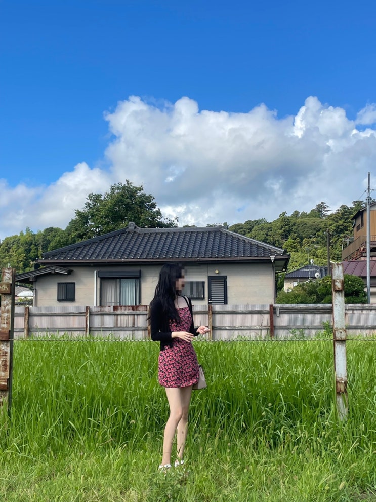 [도쿄 근교 여행] 사와라 한적한 일본 시골마을 여행 네이버 블로그