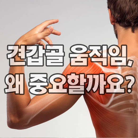 장지동pt 견갑골 움직임이 중요한 이유! / 동탄2pt : 네이버 블로그