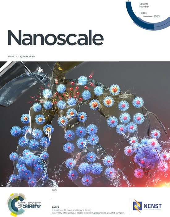 RSC_Nanoscale과학그림, 논문 커버 디자인,저널 커버 디자인, 피규어,논문표지,커버이미지,저널커버,논문그림,저널표지 ...