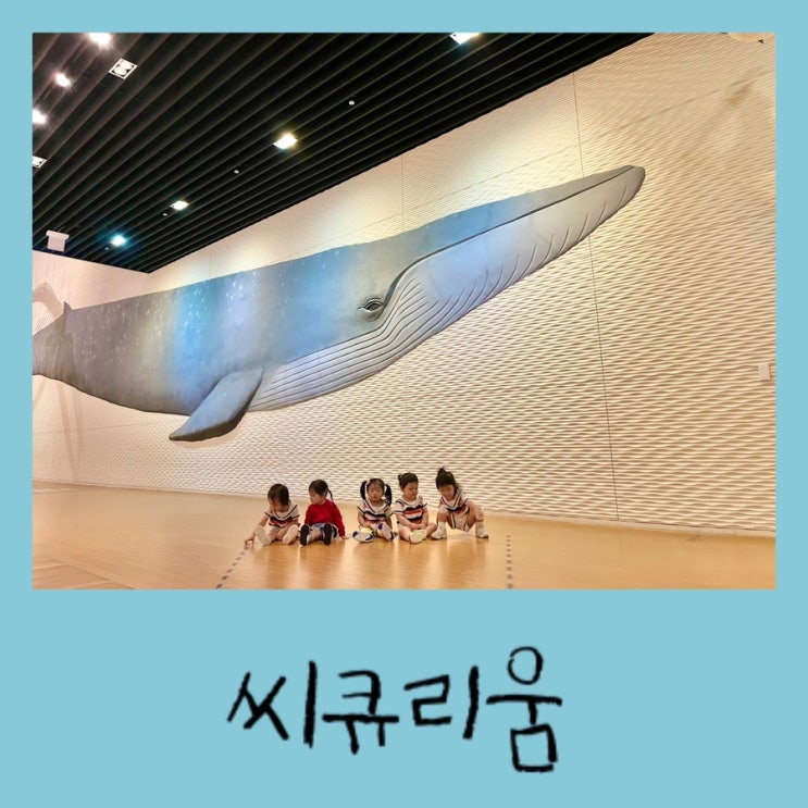 서천해양박물관 씨큐리움 군산여행 서천여행 익산어린이집 모현동어린이집 오산면어린이집 익산아이숲어린이집 네이버 블로그
