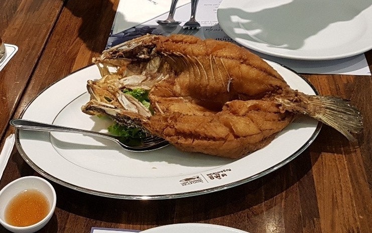 태국 방콕 자유 여행 겉바속촉 맛있는 농어 튀김 센트럴월드월텟점 네이버 블로그