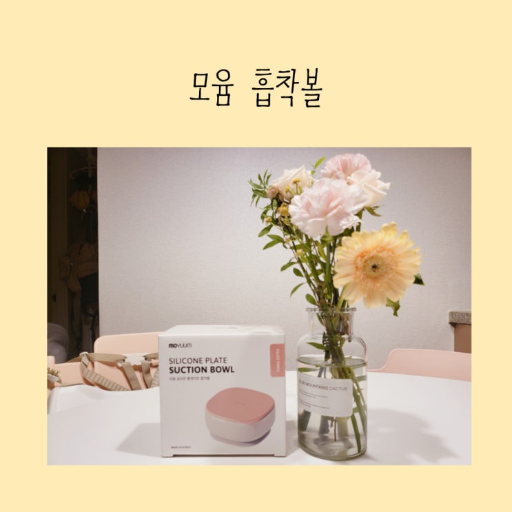 이유식준비물 모윰흡착볼 모윰흡착식판 사용후기 네이버 블로그