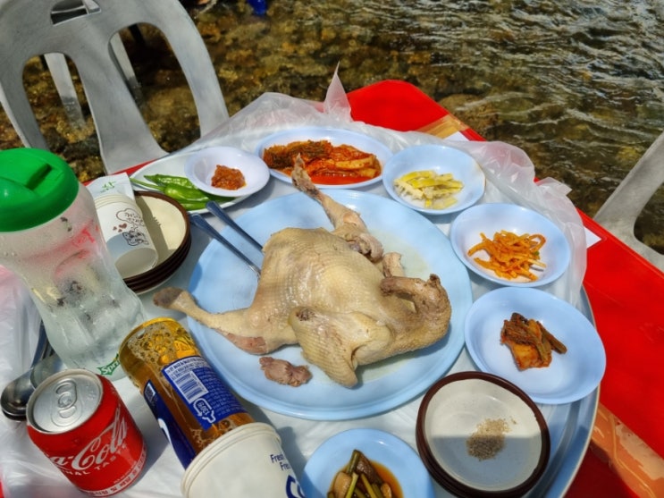 광주근교 담양 맛집 숲속의향기 용흥사계곡 평상대여닭볶음탕닭백숙 후기 네이버 블로그